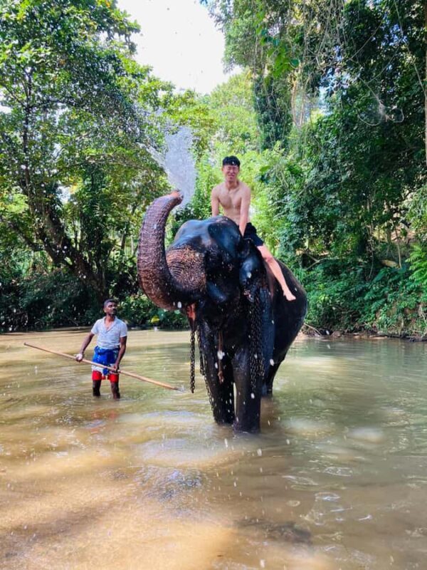 Kandy: Pinnawala & Ambuluwawa Tuk Tuk Adventure - Who Would Enjoy This Tour?