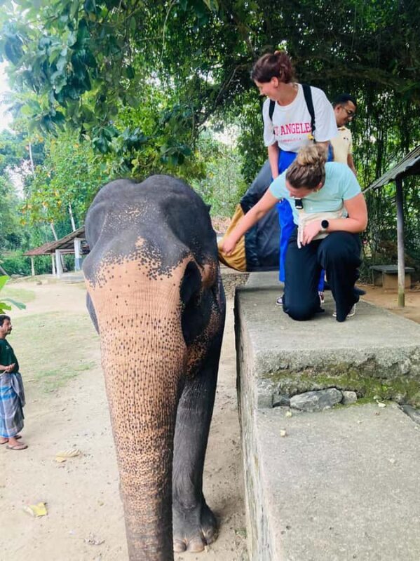 Kandy: Pinnawala & Ambuluwawa Tuk Tuk Adventure - Final Thoughts