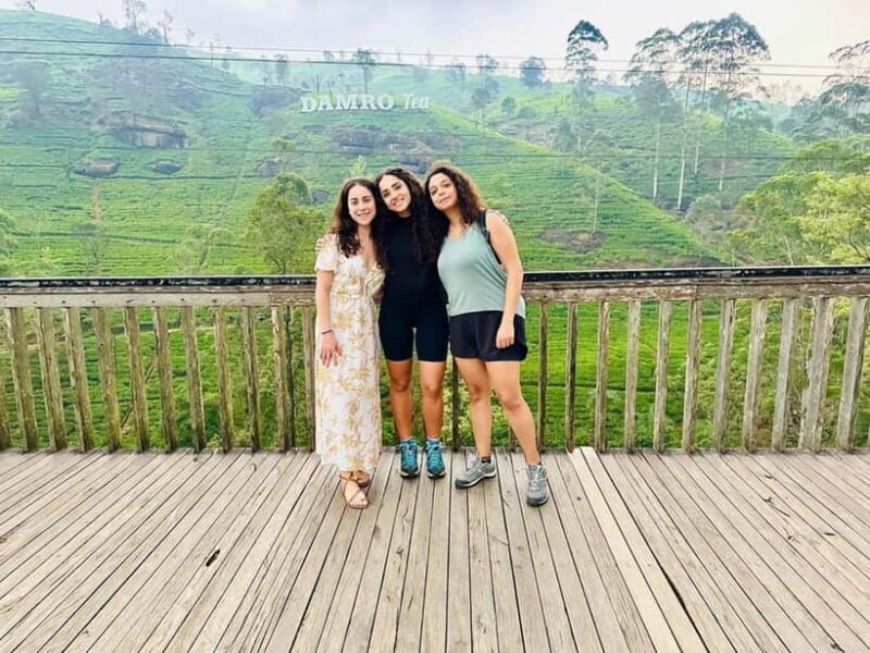 Kandy & Pinnawala Day Tour From Colombo or Negombo - Key Points