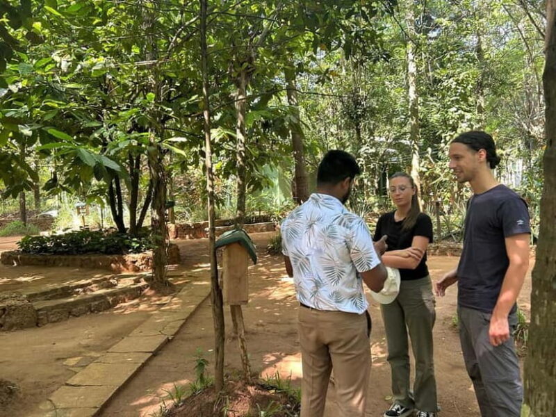 Kandy & Pinnawala Day Tour From Colombo or Negombo - A Full Day Packed With Highlights