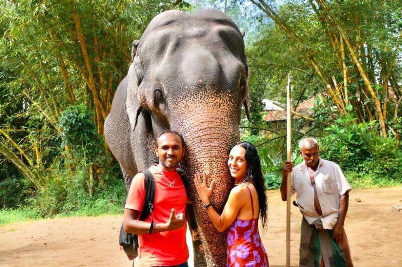 Kandy : Pinnawala Day Tour with Top Rated Local Guide - Key Points