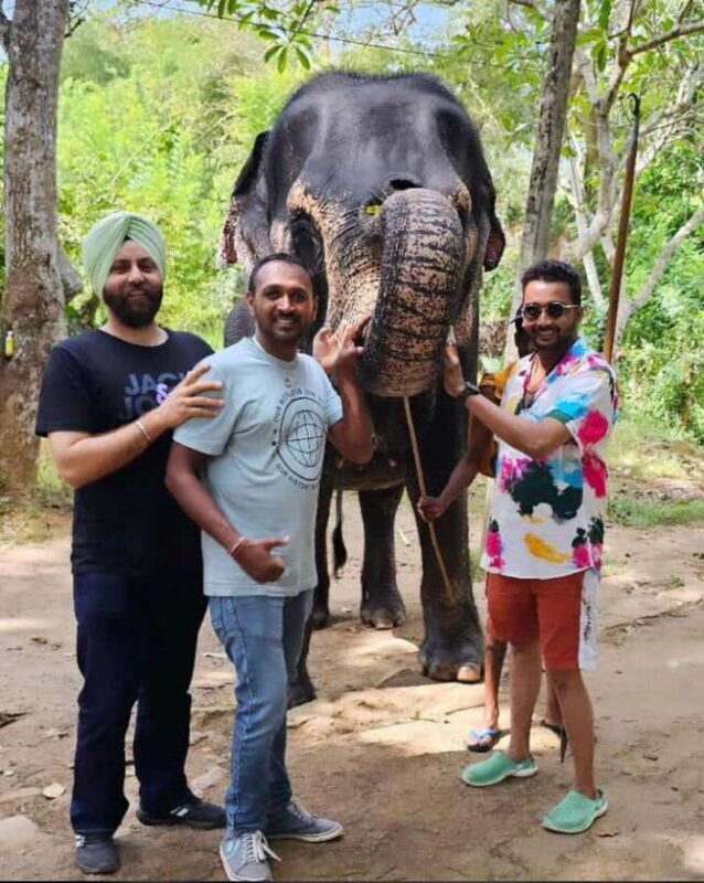 Kandy : Pinnawala Day Tour with Top Rated Local Guide - Whats Included & Whats Not