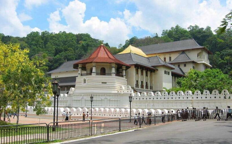 Kandy : Pinnawala Day Tour with Top Rated Local Guide - Transportation, Timing & Group Size