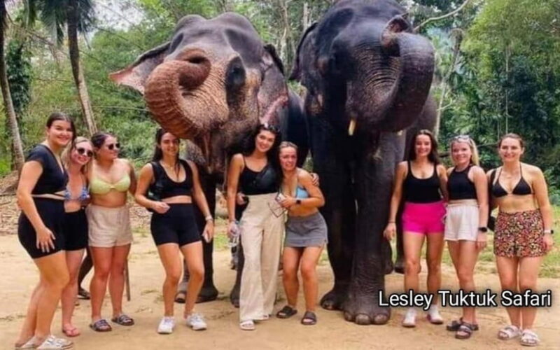 Kandy : Pinnawala Elephant Safari Tour with Kandy City Tour - What Travelers Say: Authentic Experiences and Expert Guides