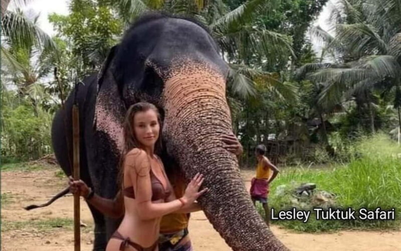 Kandy : Pinnawala Elephant Safari Tour with Kandy City Tour - Logistics and Practical Considerations