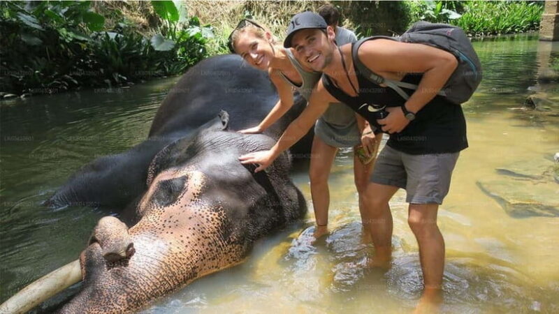 Kandy : Pinnawala Elephant Safari Tour with Kandy City Tour - Final Thoughts: Is This Tour for You?