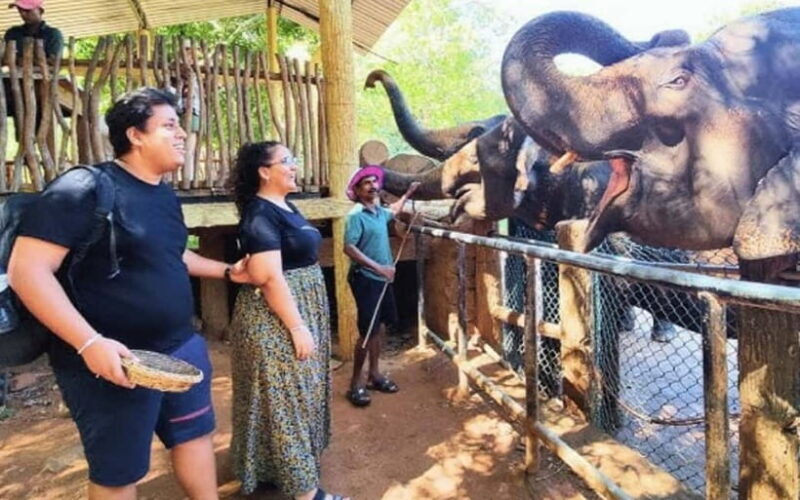Kandy : Pinnawala Elephant Safari Tour with Kandy City Tour - FAQs