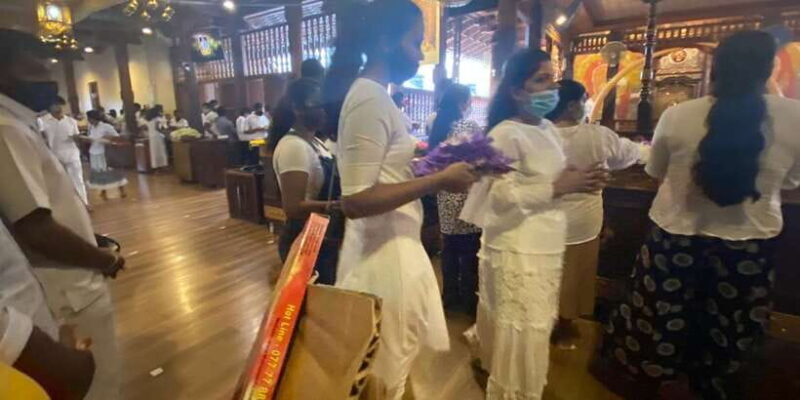 Kandy Pinnawala full day tour from Bentota and Kalutara - Practical Aspects & Tips