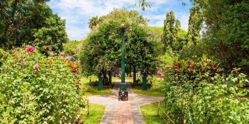 Kandy Pinnawala full day tour from Bentota and Kalutara - The Sum Up