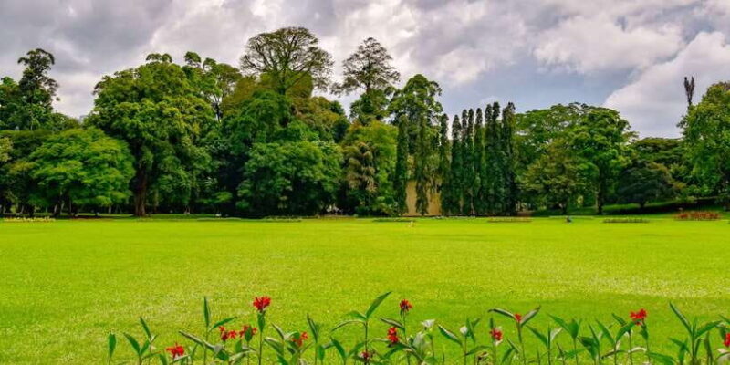 Kandy Pinnawala full day tour from Bentota and Kalutara - FAQ