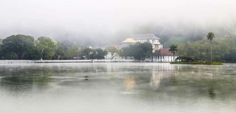 Kandy, Pinnawala Private Day Trip From The West Coast Beach - Who Will Appreciate This Tour?