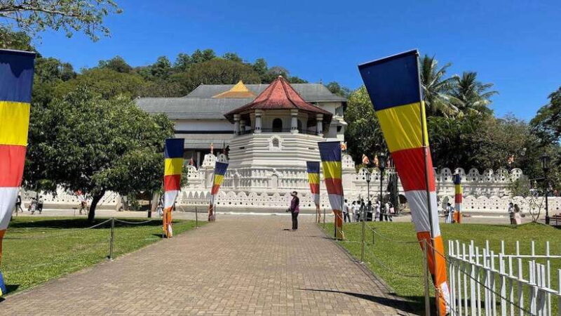 Kandy, Pinnawala & Tea Factory Full Day Tour From Colombo - Key Points