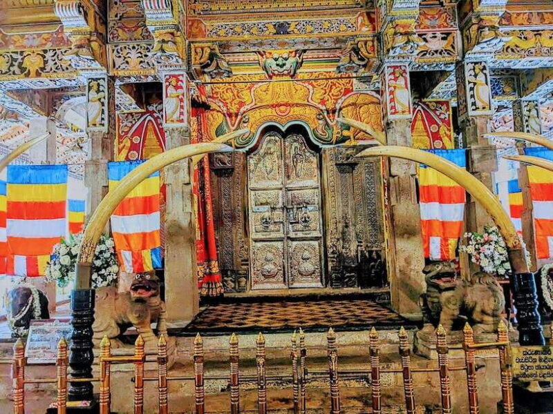 Kandy, Pinnawala & Tea Factory Full Day Tour From Colombo - A Practical Overview of the Tour