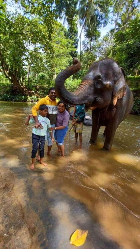 Kandy, Pinnawala & Tea Factory Full Day Tour From Colombo - FAQs