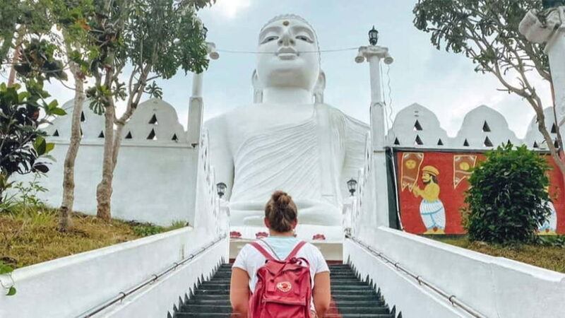 Kandy Private City Tour With Local Guide - A Deep Dive into the Kandy Private City Tour