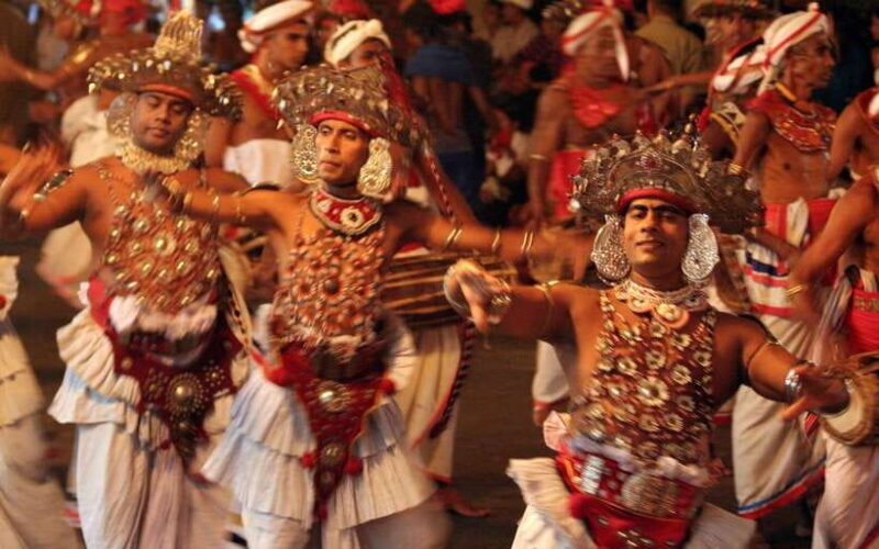 Kandy Private City Tour With Local Guide - Who Should Consider This Tour?
