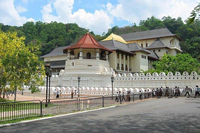 Kandy Private Day Tour Ahungalla/Kosgoda/Bentota/Beruwala/Kaluthara - An In-Depth Look at the Experience