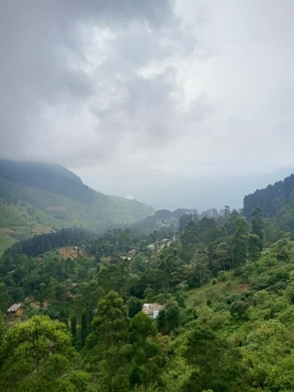 Kandy: Private Ella Journey with Tea, Falls & Arch Bridge - Ending Your Journey in Ella