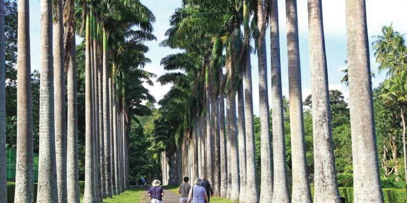 Kandy: Private Guided City Tours by Tuk Tuk Sightseeing Tour - Who Will Love This Tour?