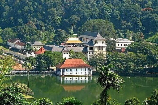 Kandy Private Transport with Sightseeing from Colombo - What to Expect from the Transfer Service