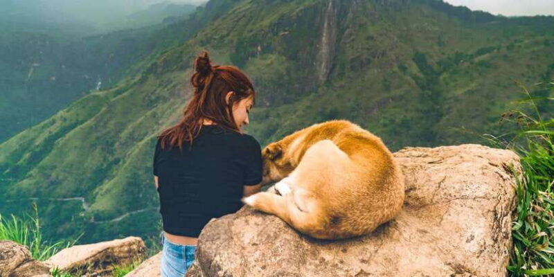 Kandy: Shanthipura and Nuwara Eliya - An In-Depth Look at the Tour Experience