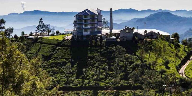 Kandy: Shanthipura and Nuwara Eliya - Is This Tour Right for You?