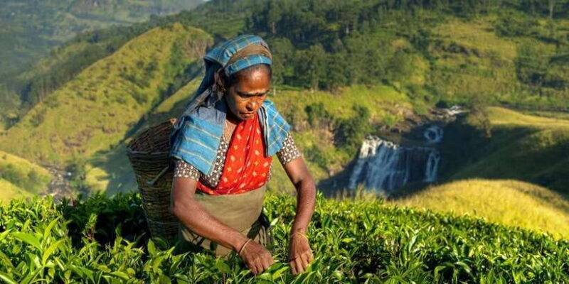 Kandy: Shanthipura and Nuwara Eliya - FAQ