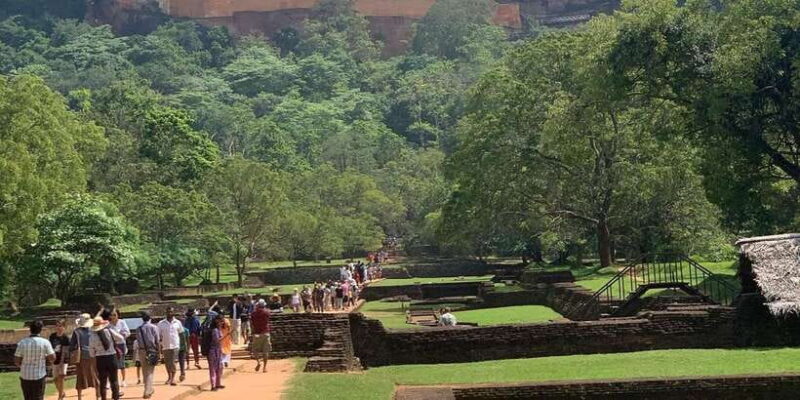 Kandy: Sigiriya Dambulla & Minneriya Park Safari day tour - Price, Value, and Practical Tips