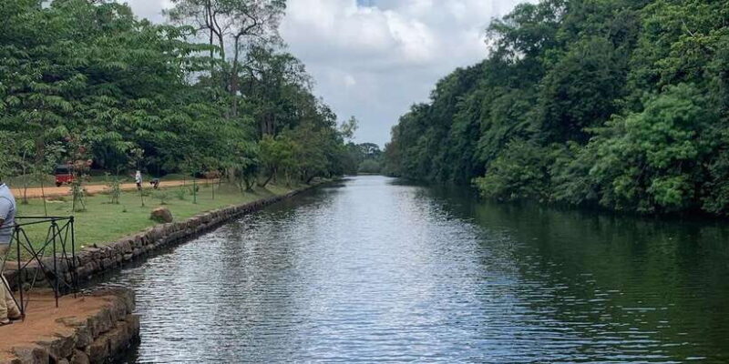 Kandy: Sigiriya Dambulla & Minneriya Park Safari day tour - Who Should Consider This Tour?