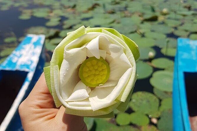 Kandy - Sigiriya Full-Day Private Tour - Starting Early: Convenience & Comfort