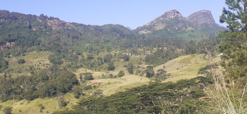 Kandy : Sigiriya Guided Day Tour By Tuk Tuk - FAQ