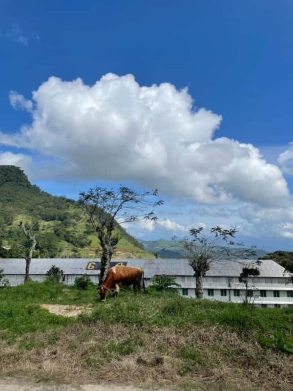 Kandy: Sir James Taylors Loolkandura Tea Heritage Hike - The Experience Provider: AMAK TRAVELS