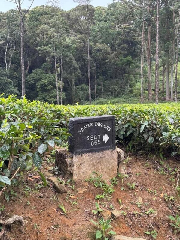 Kandy: Sir James Taylors Loolkandura Tea Heritage Hike - Who Would Love This?