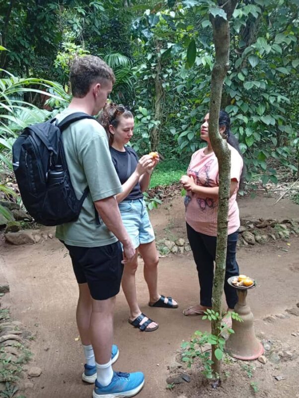 Kandy: Spice Garden & Artisan Workshops Tuk Tuk Tour - Value and Practical Considerations