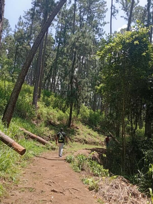 Kandy: Tea estate Factory & Waterfalls, Ambuluwawa tour - Final Thoughts: Is This Tour for You?