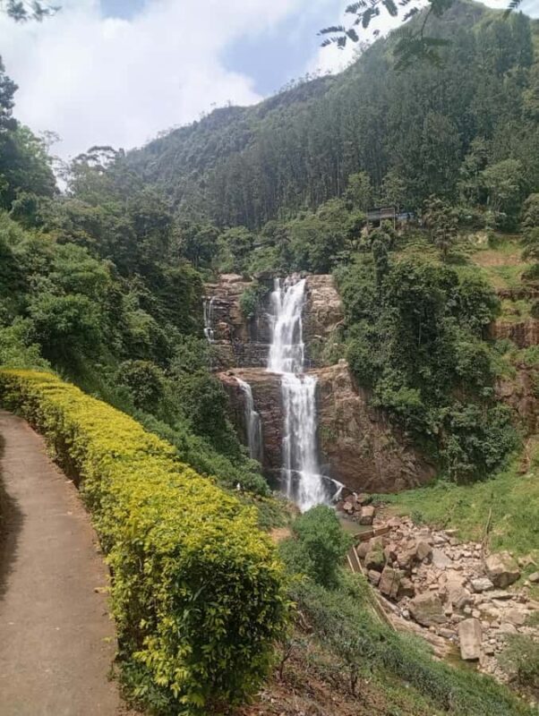 Kandy: Tea estate Factory & Waterfalls, Ambuluwawa tour - FAQ