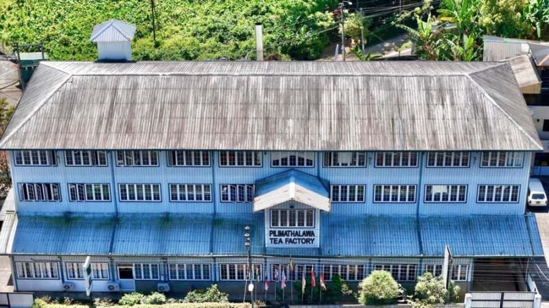 Kandy Tea Tasting at Pilimathalawa with Pickup & Drop - A Detailed Look at the Kandy Tea Tasting at Pilimathalawa with Pickup & Drop