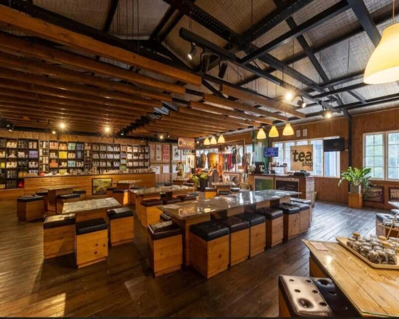 Kandy Tea Tasting at Pilimathalawa with Pickup & Drop - Practical Considerations and Value