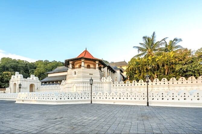 Kandy & Tea Wonderland: A Day of Heritage, Views, & Flavors - Key Points