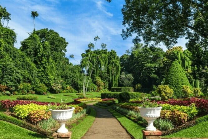 Kandy & Tea Wonderland: A Day of Heritage, Views, & Flavors - A Detailed Look at the Kandy & Tea Wonderland Tour