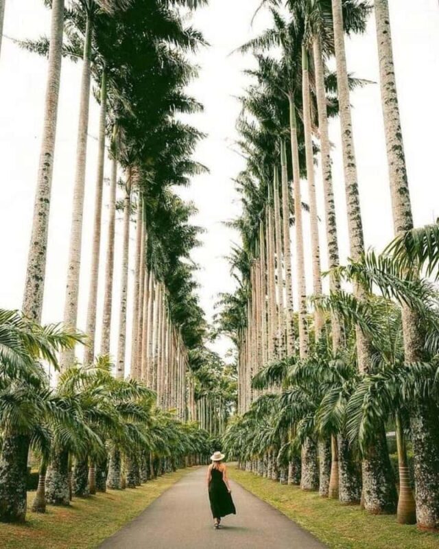 Kandy: Temple of Tooth, Train Ride, & Cave Waterfall Tour - A Deep Dive into the Kandy Experience