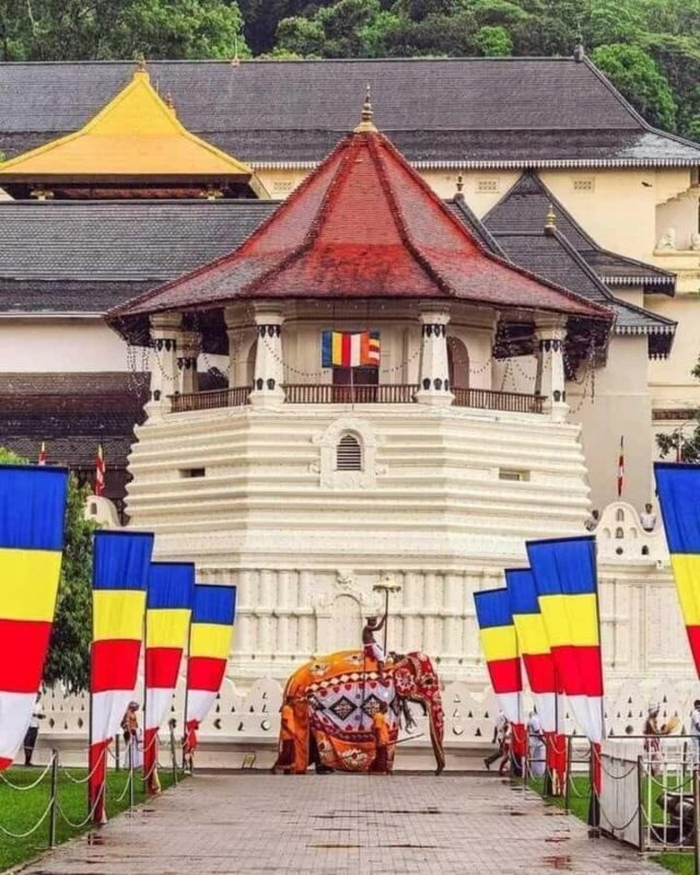 Kandy: Temple of Tooth, Train Ride, & Cave Waterfall Tour - Who Should Consider This Tour?