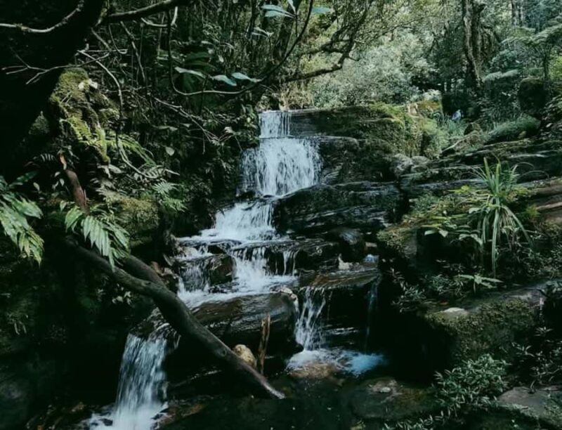 Kandy: Thunhisgala Mountain 2-Day Guided Hike & Camping - An Authentic Trek into Sri Lanka’s Highlands