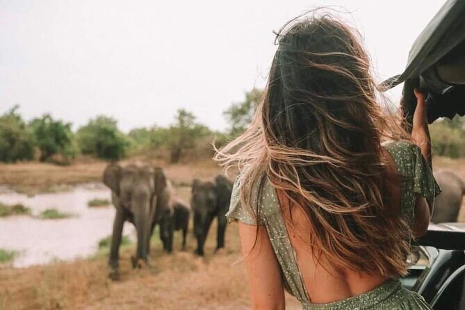 Kandy to Anuradhapura Shuttle & Safari Drive - Exploring the Kandy to Anuradhapura Shuttle & Safari Drive: An Authentic Wildlife Adventure