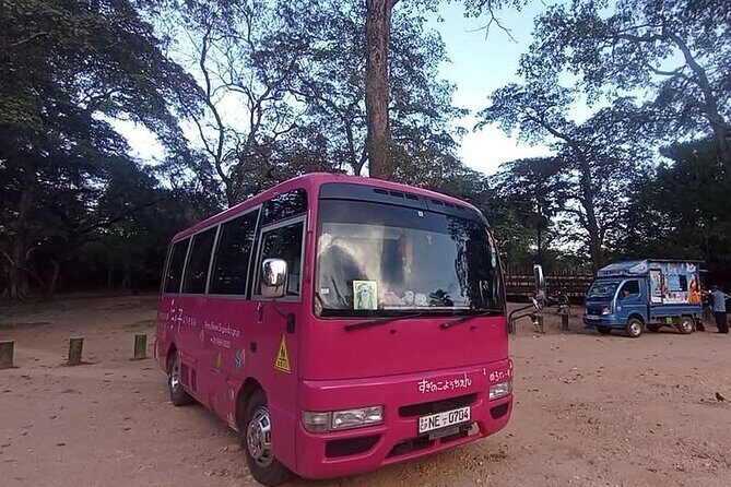 Kandy to Bandaranayake Airport Katunayake Drop - Detailed Overview of the Service