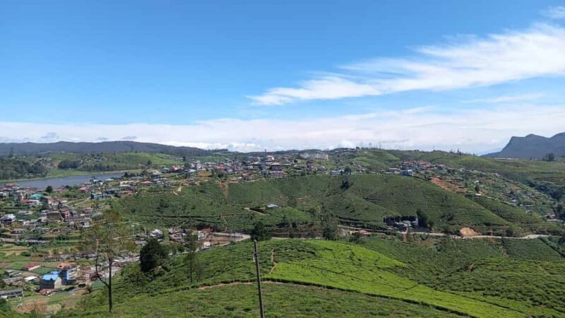 Kandy to Ella Drop: Optional Train Ride from Ambewela - Who Is This Tour Best For?