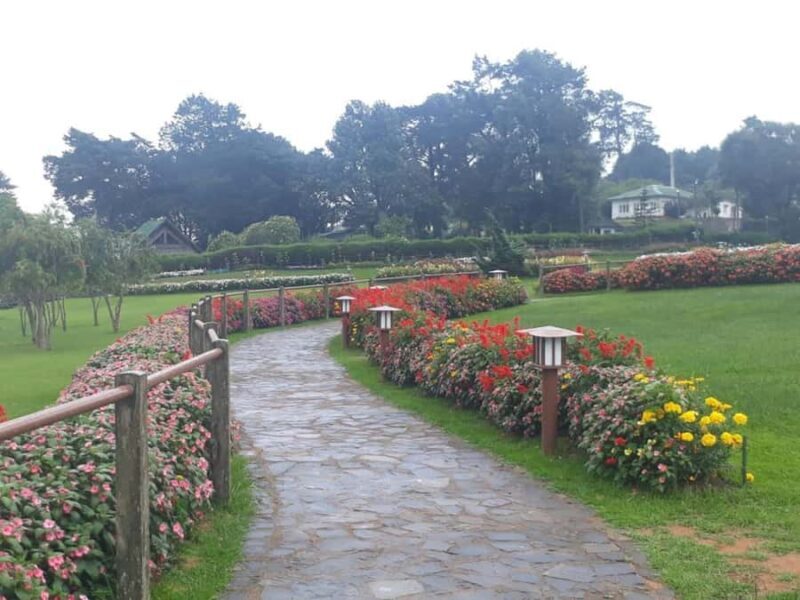 Kandy to Ella Drop: Optional Train Ride from Ambewela - Final Thoughts