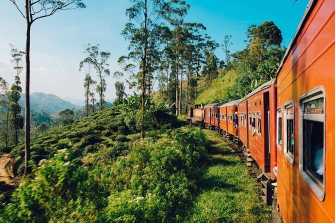 Kandy to Ella Train Tickets - Reserved Seats - Who Will Love This Experience