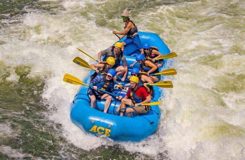 Kandy to Kithulgala White Water Rafting on the Kelani River - An In-Depth Look at the Rafting Tour