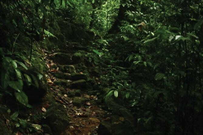 Kandy to Nallathanniya (Climb Adams Peak) - What Travelers Say